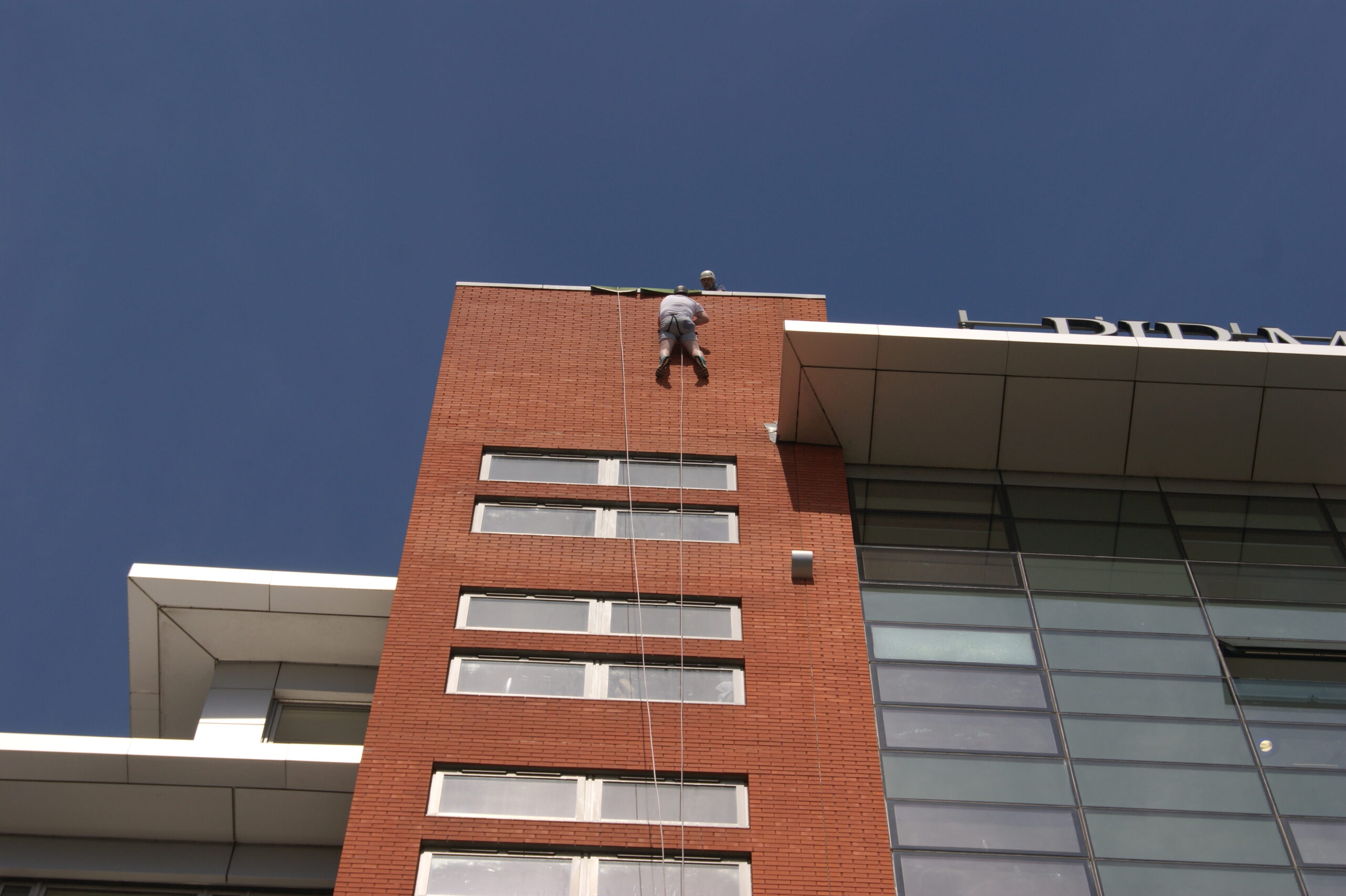 E R Grove's Diamond D of E Challengers - ER Grove & Co